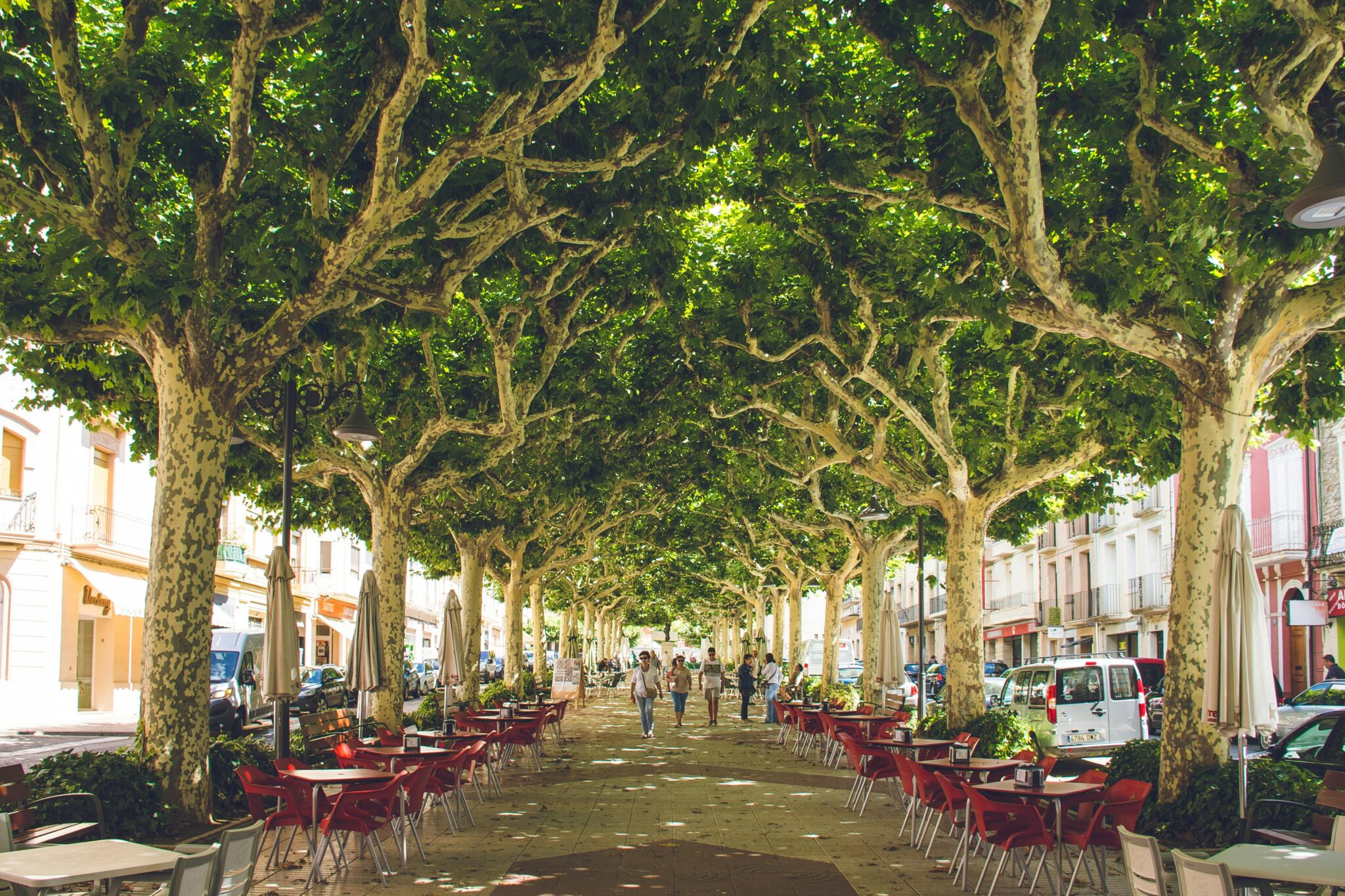 Heatwaves in Europe: Learning from Our Neighbours in Spain - Orange ...